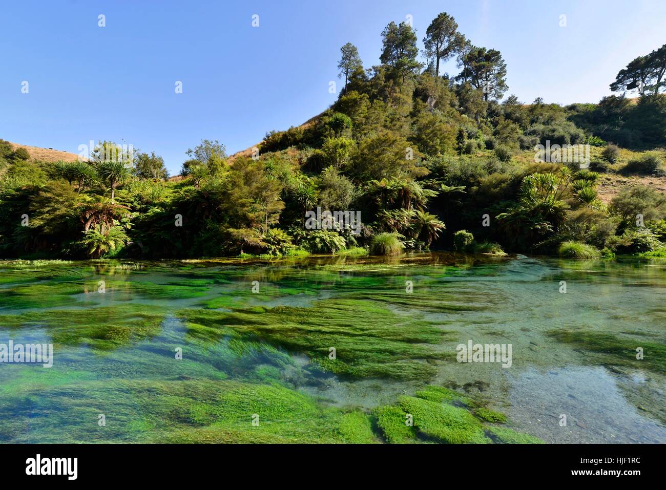 New Zealand Waihou River High Resolution Stock Photography and Images ...