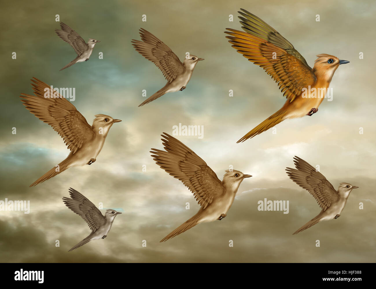 art, flight, graphic, bird, heaven, paradise, birds, dream, uniform ...