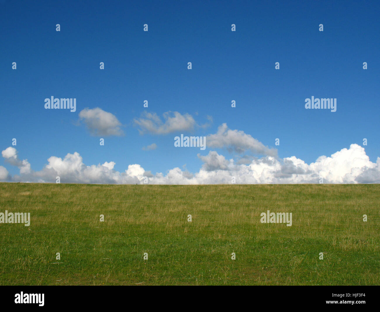 blue, green, dike, bluer, meadow, firmament, sky, grass, lawn, backdrop ...