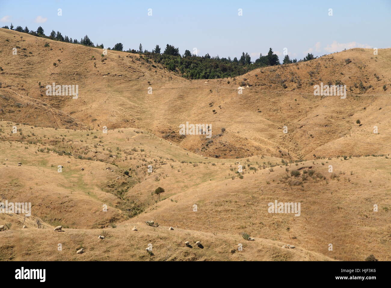 Getting around new zealand hi-res stock photography and images - Alamy