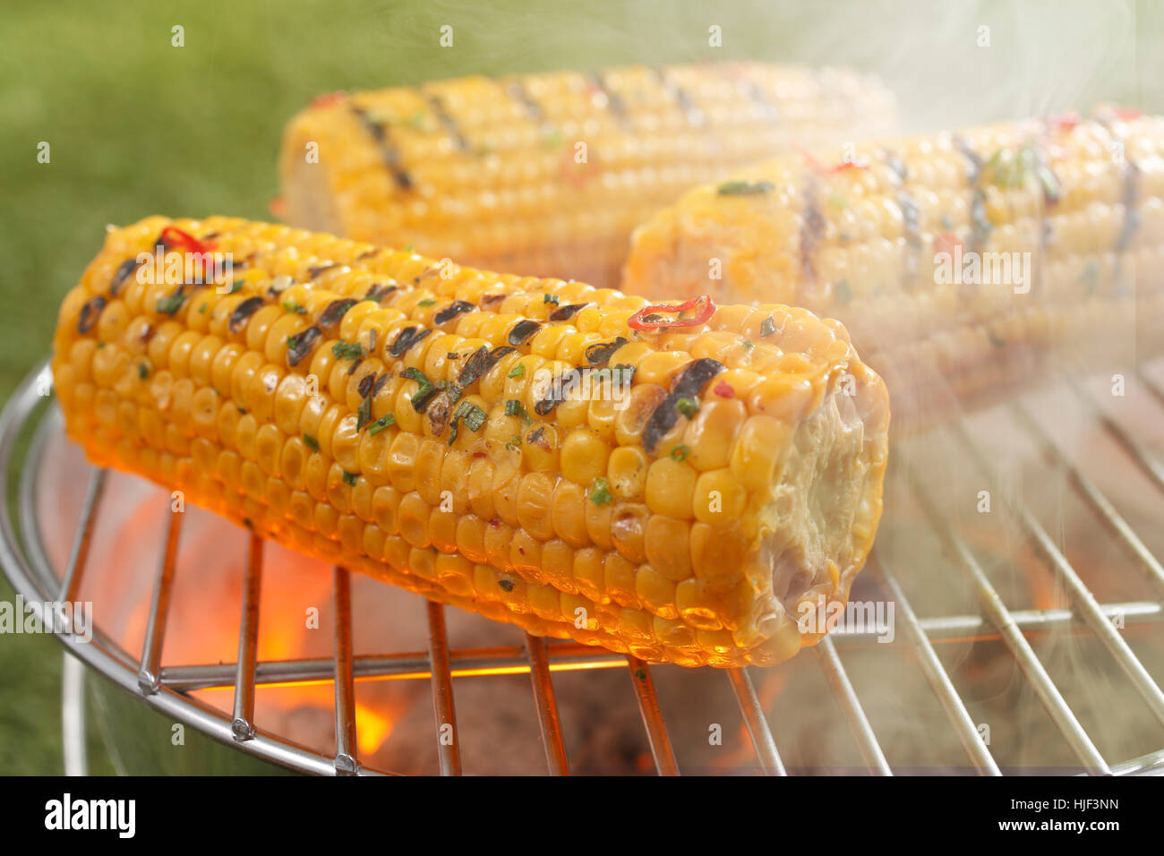 smoke, smoking, smokes, fume, food, aliment, garden, summer, summerly ...