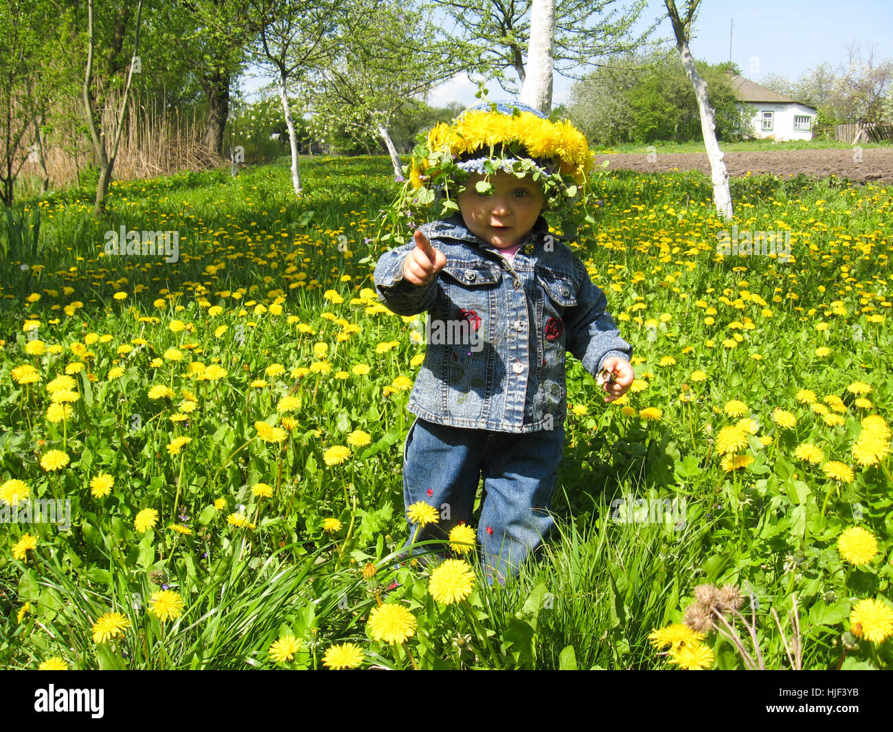 flower, plant, jeans, trousers, jean trousers, spring, dandelion, kid ...