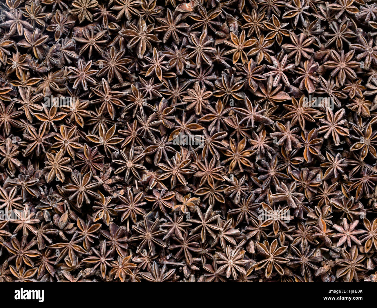 spice, aromatic, dried, pod, indian, anise, star, food, aliment, spice ...