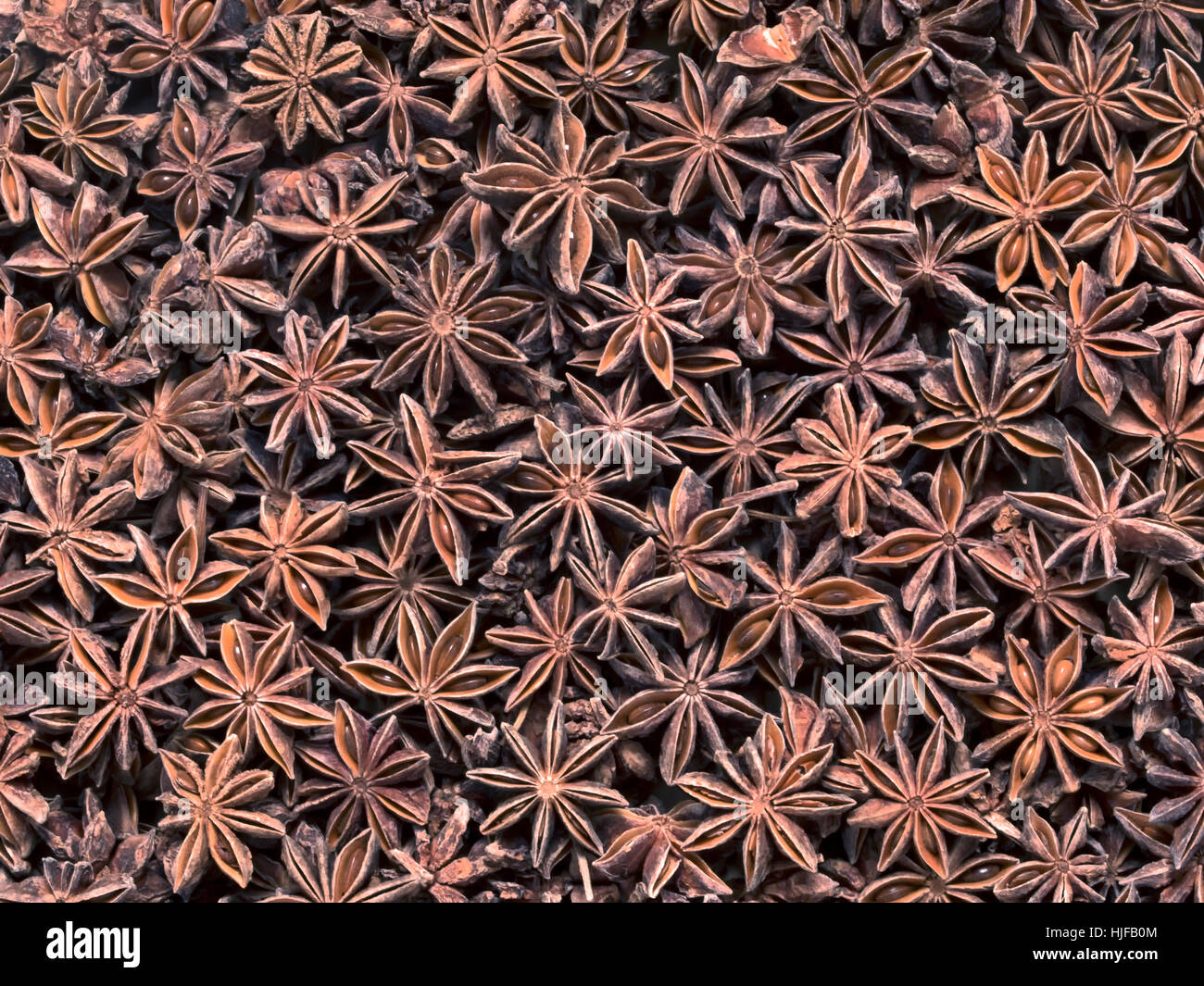 spice, aromatic, dried, pod, indian, anise, star, food, aliment, spice ...