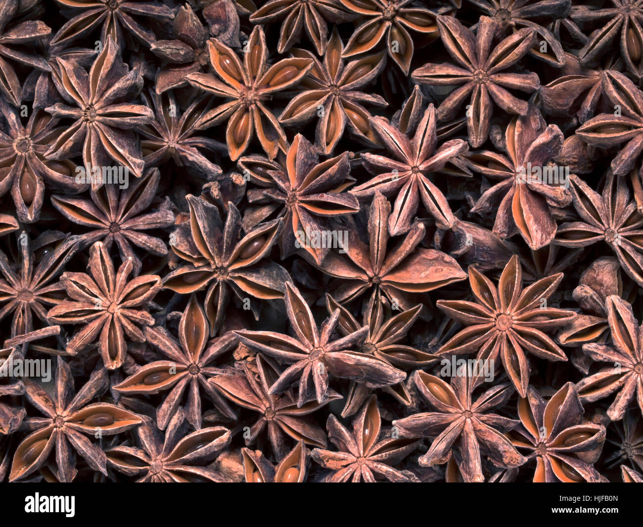 spice, aromatic, dried, pod, indian, anise, star, food, aliment, spice ...