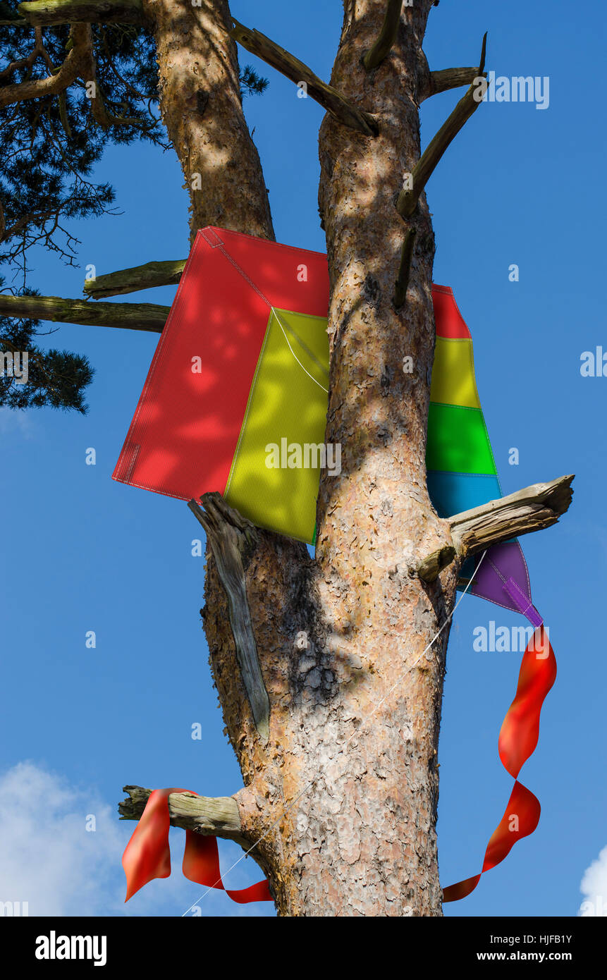 Broken Kite High Resolution Stock Photography and Images - Alamy