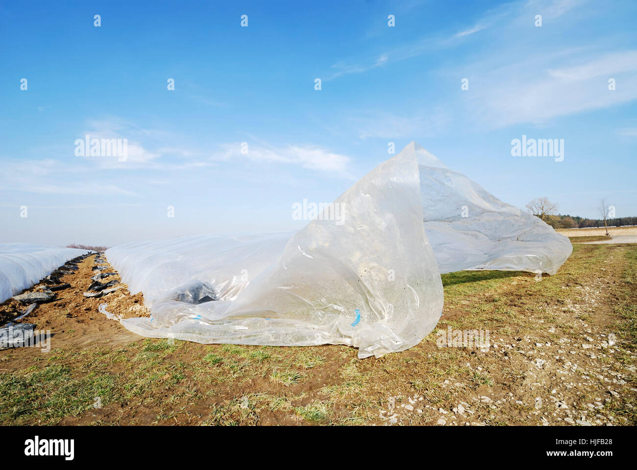 agriculture, farming, field, lines, row, acre, plastic, synthetic ...