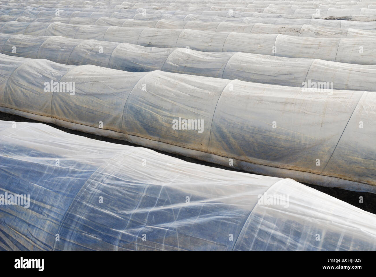 agriculture, farming, field, lines, row, acre, plastic, synthetic ...