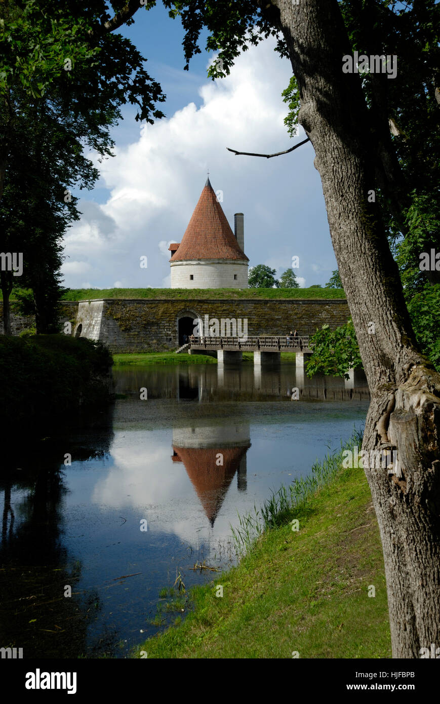estonia, chateau, castle, tower, historical, tree, trees, trunk, shine ...