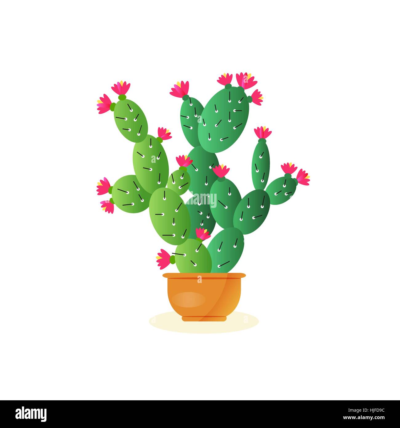 Cactus vector flat icon Stock Vector Image & Art - Alamy