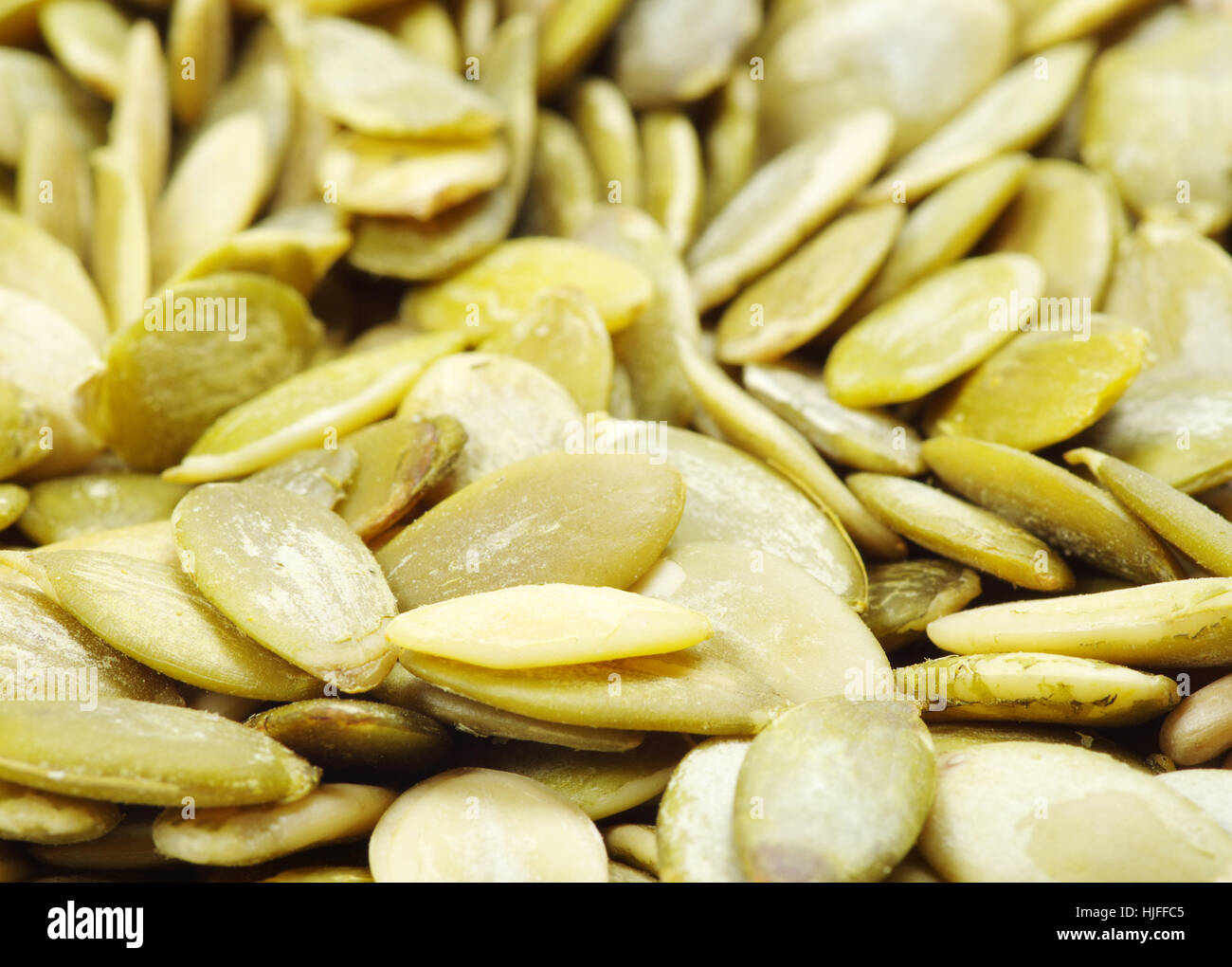 food, aliment, closeup, shell, flower, sunflower, plant, party ...