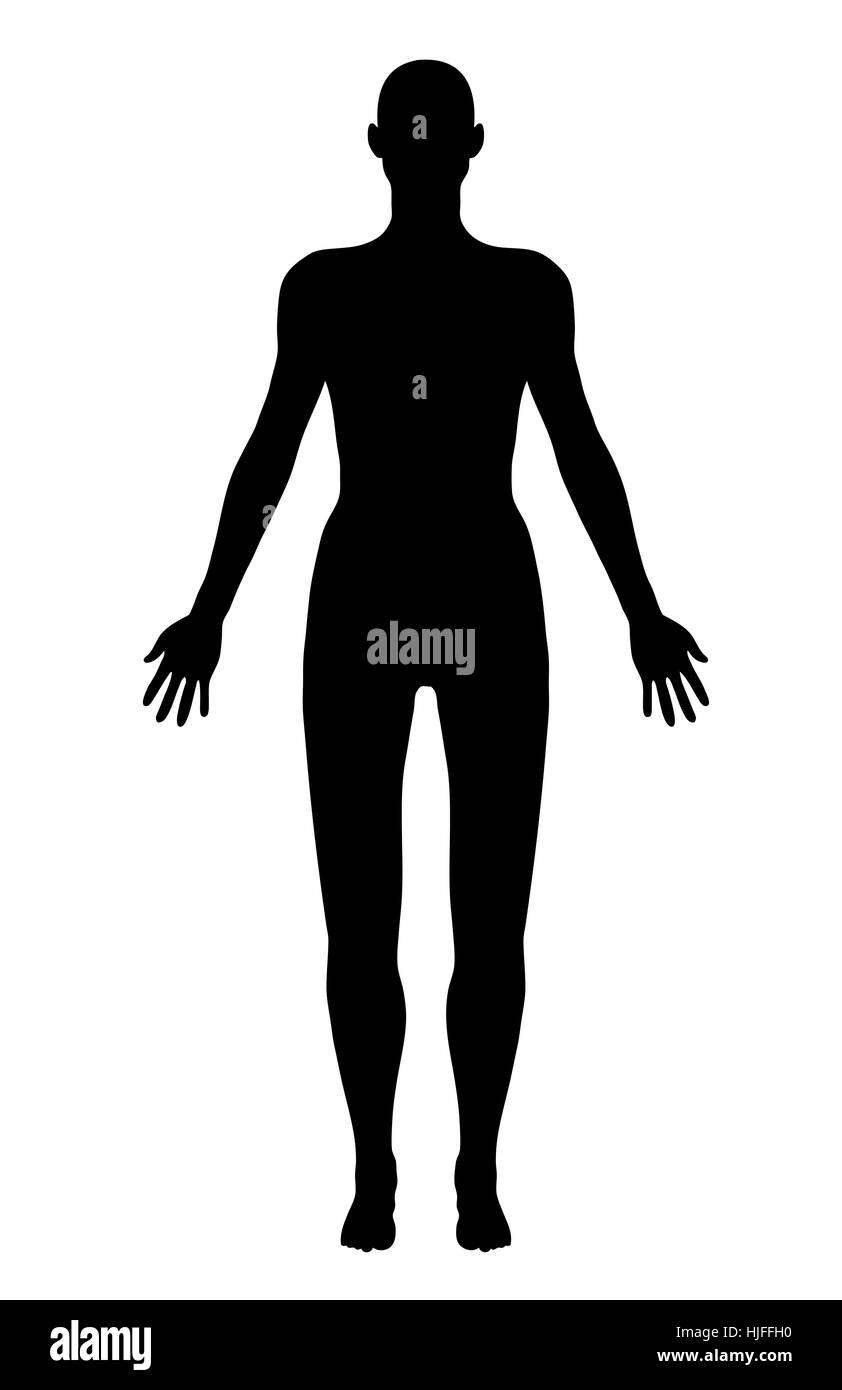 Body silhouette isolated Stock Vector Image & Art - Alamy