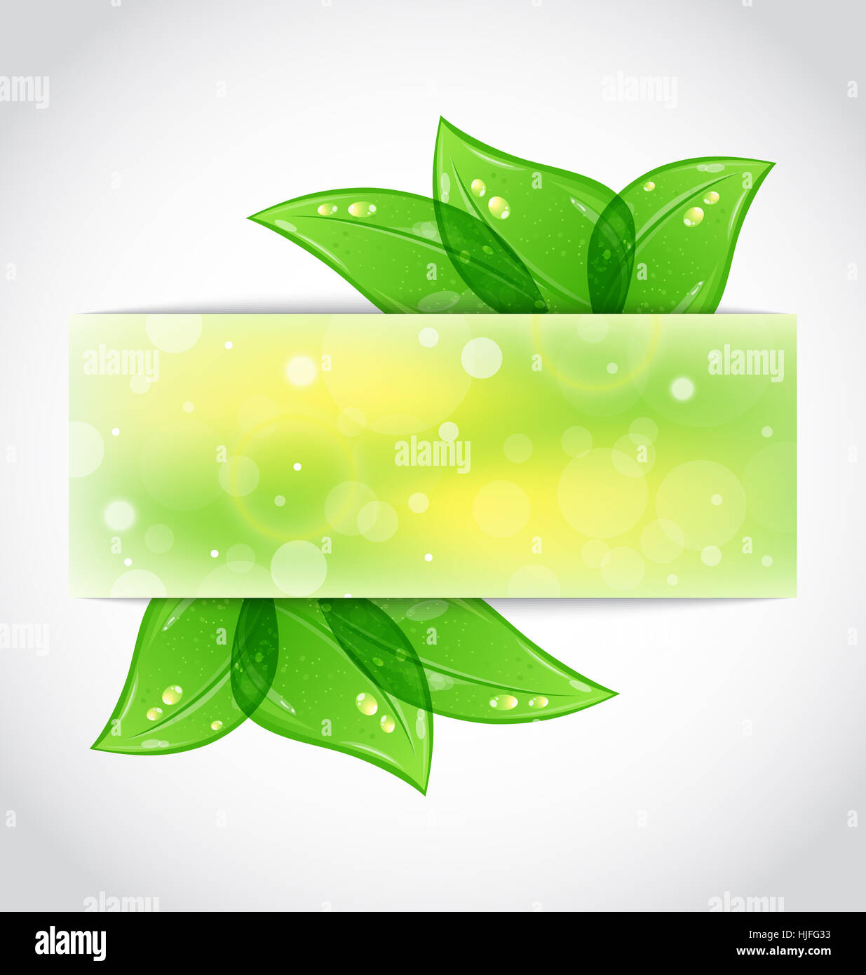 note, memo, leaf, eco, art, isolated, model, design, project, concept ...