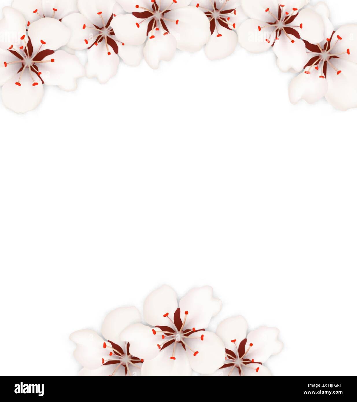 Frame with Sakura Flowers Blossom Stock Vector Image & Art - Alamy