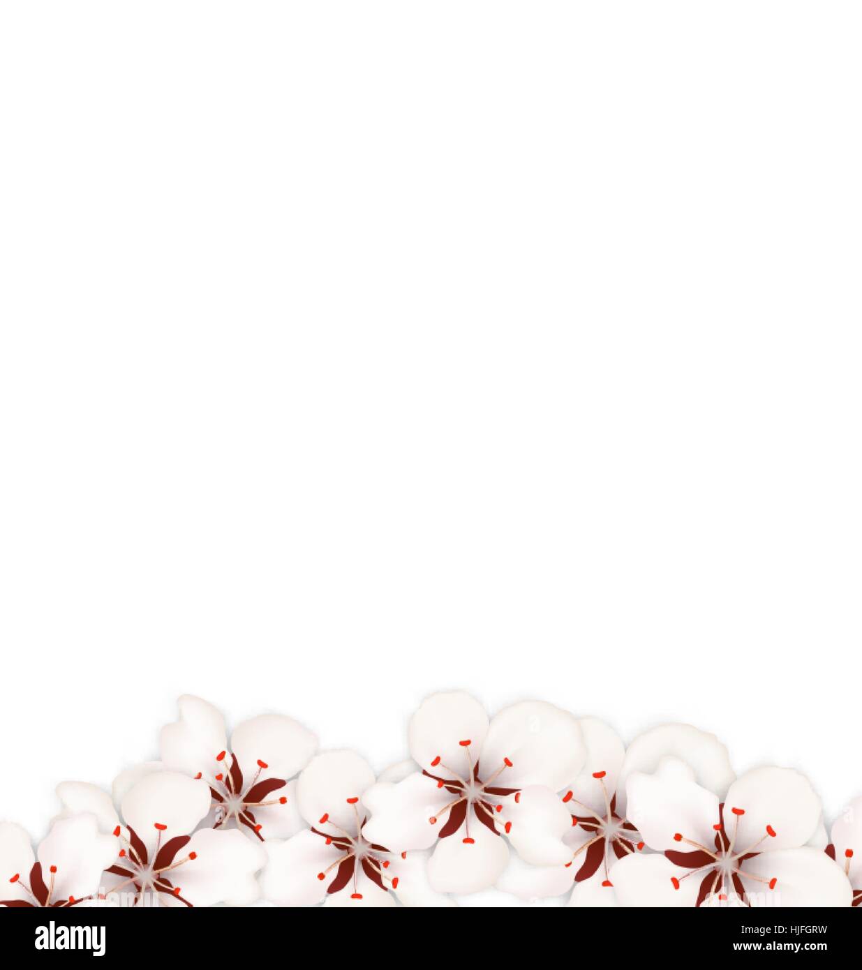 Park blossom sakura flower Stock Vector Images - Alamy