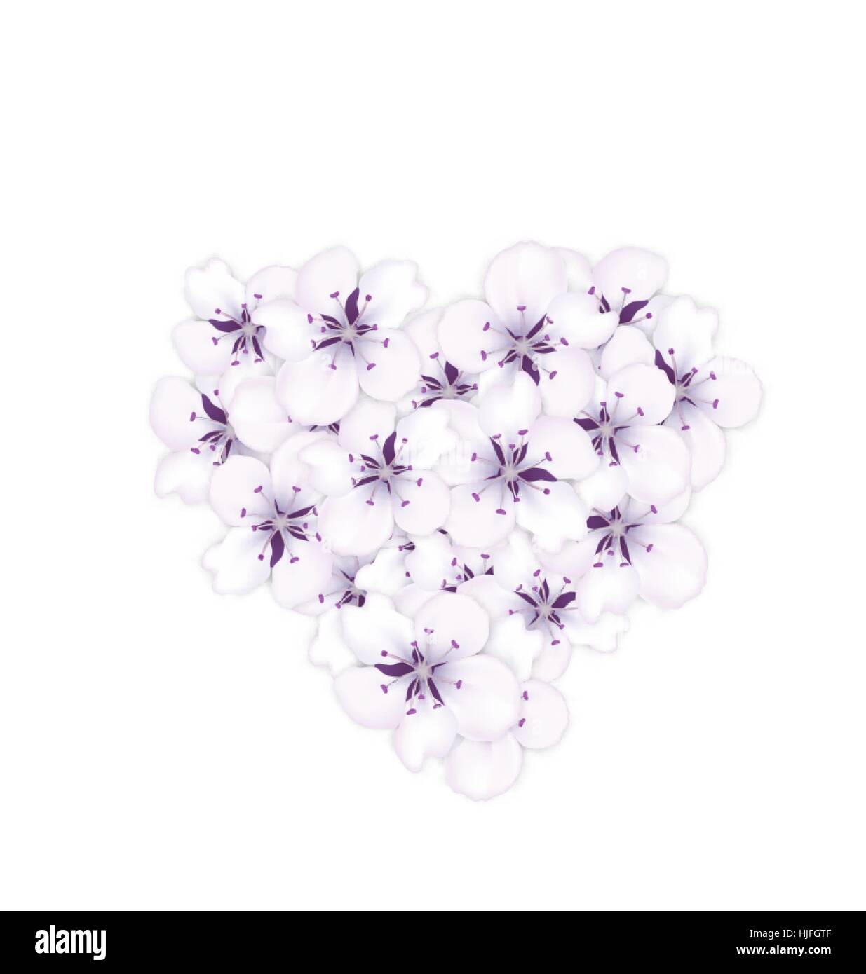 Purple Sakura Flowers Stock Vector Images - Alamy