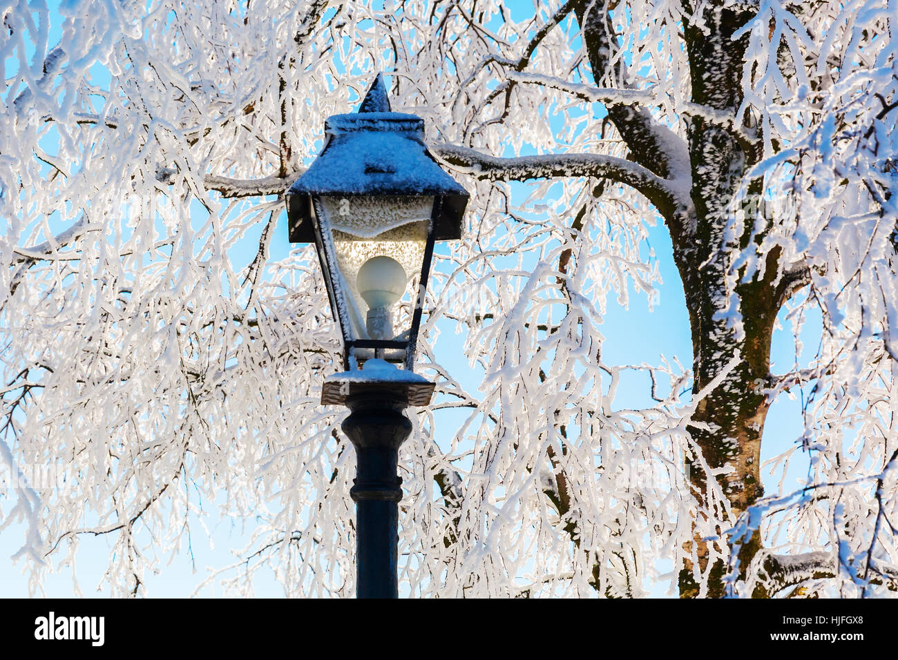 snowy scene of an antique street lamp in front of trees Stock Photo - Alamy