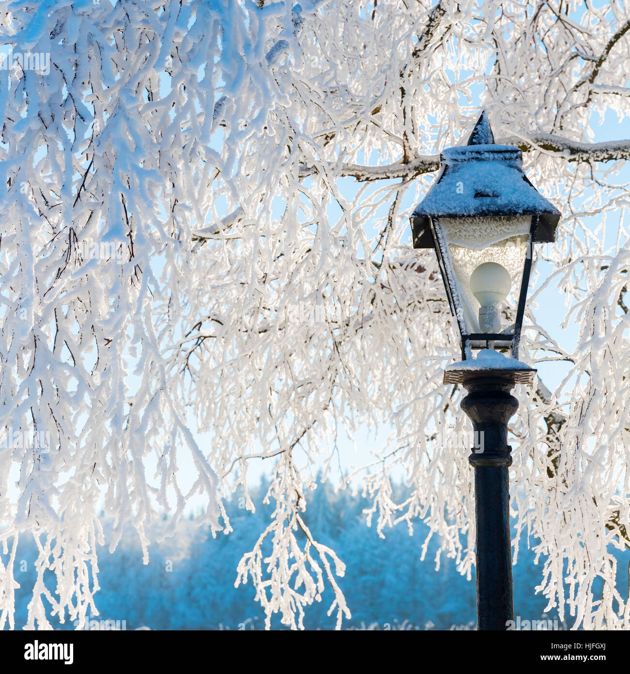 snowy scene of an antique street lamp in front of trees Stock Photo - Alamy