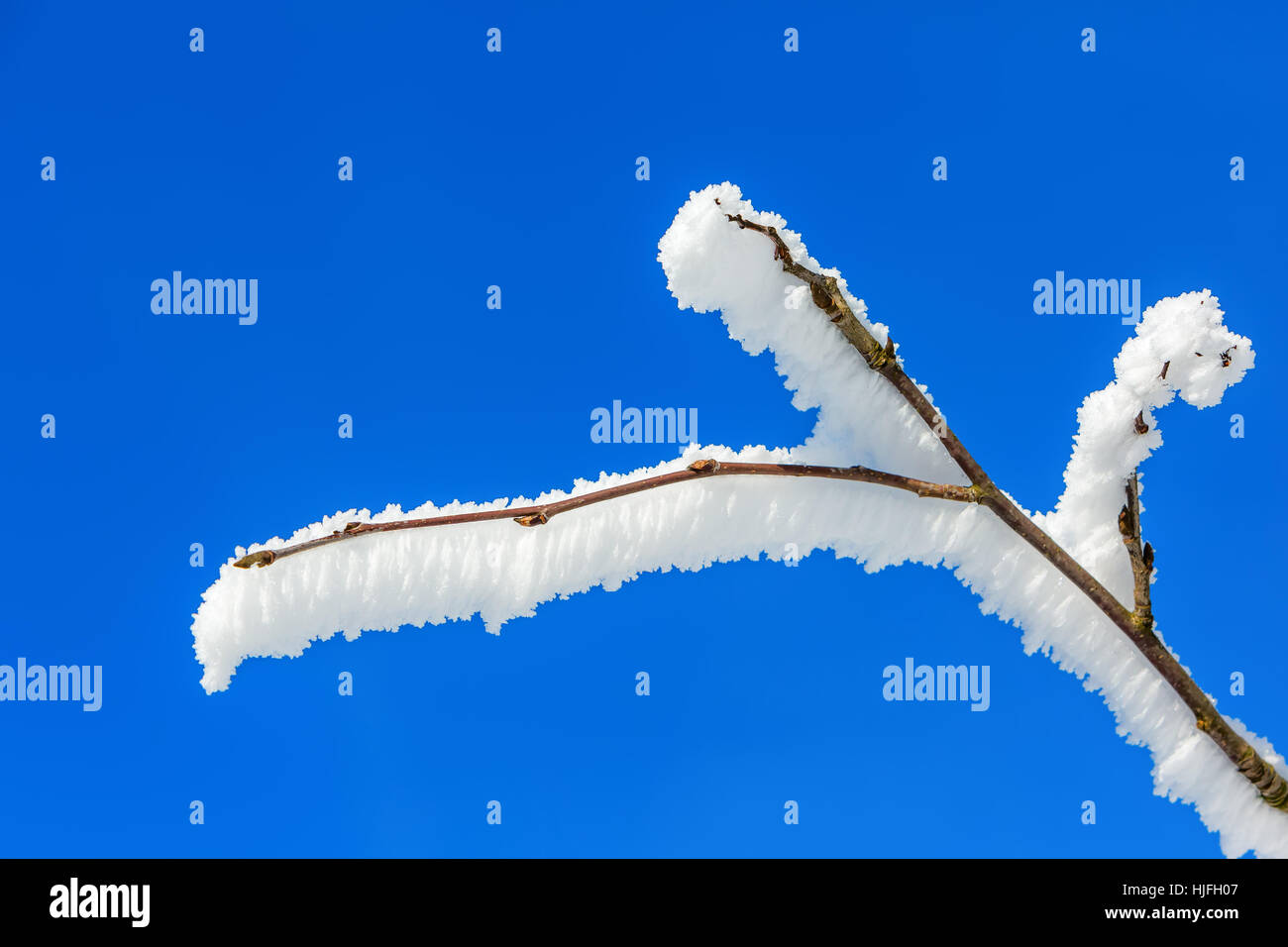 picture of a branch with wind shaped snow Stock Photo - Alamy