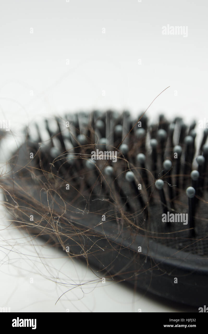 hairs, hovel, mud, hygiene, personal care, loss of hair, hairbrush ...