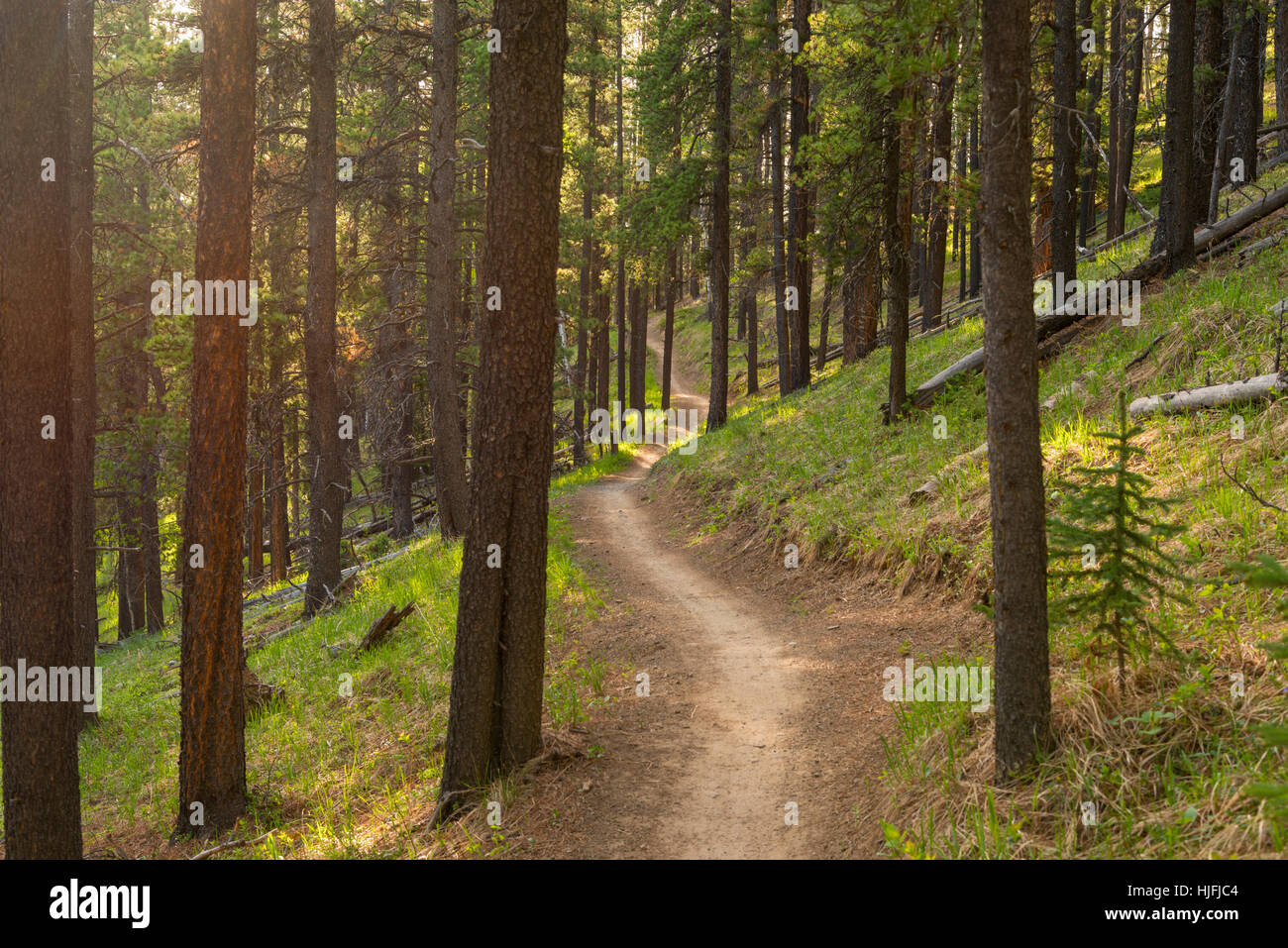Foot path hi-res stock photography and images - Alamy