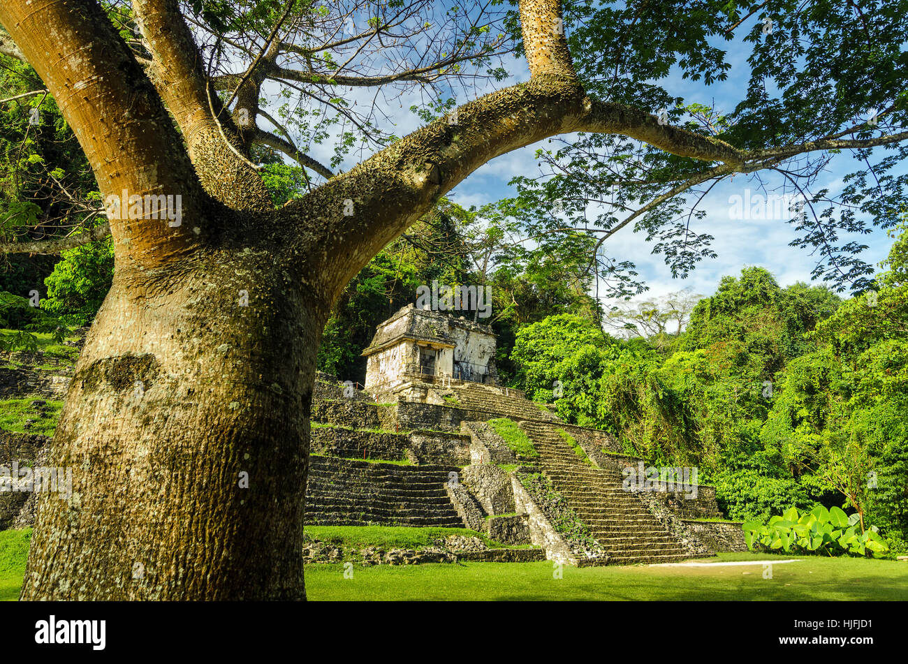 temple, culture, pyramid, ruins, ancient, stairs, travel, religion ...
