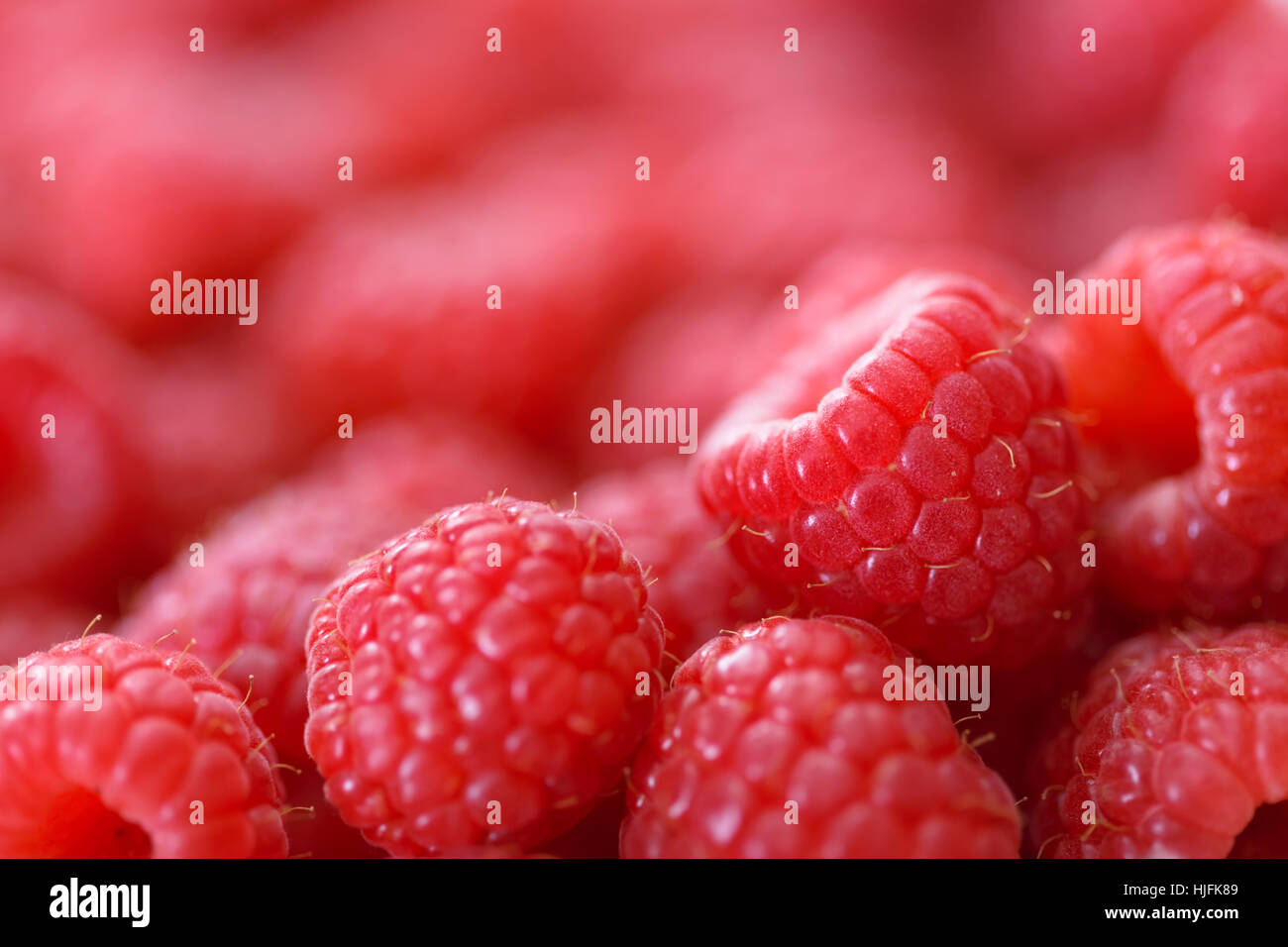 fruit, raspberry, backdrop, background, many, red, food, aliment, macro ...