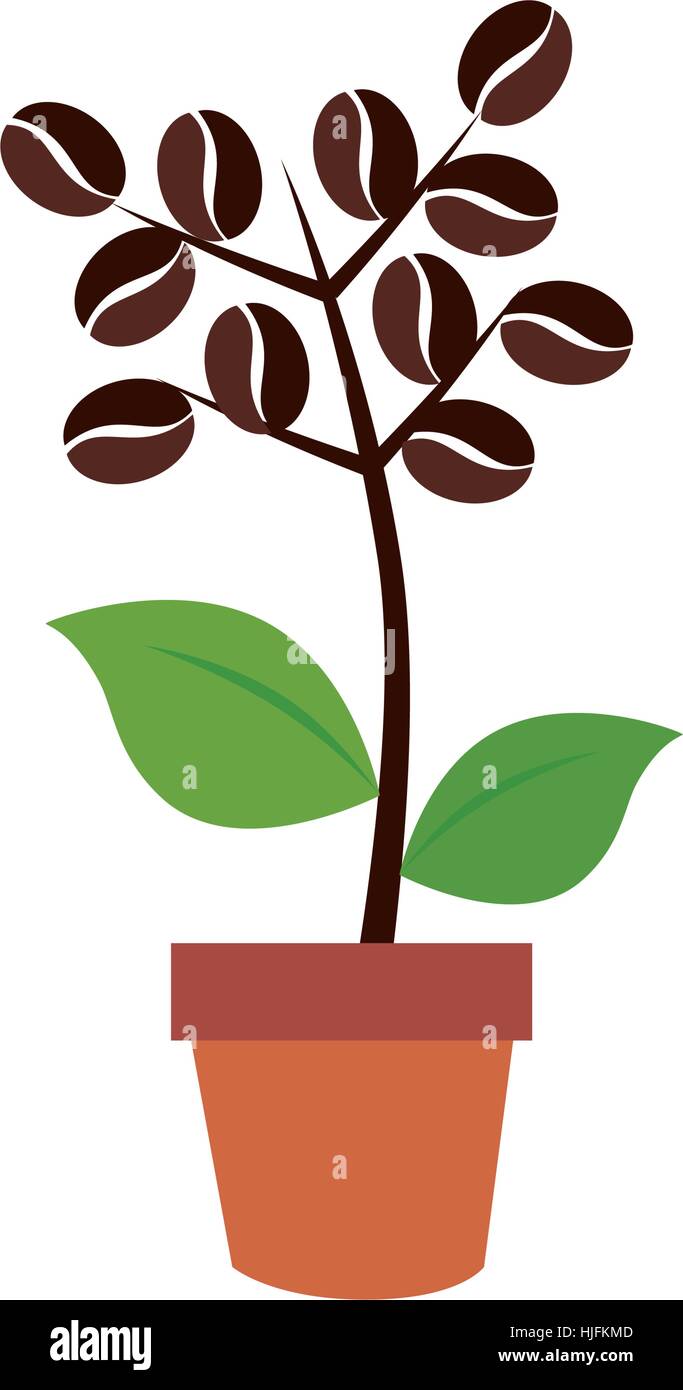 coffee plant organic product vector illustration design Stock Vector ...