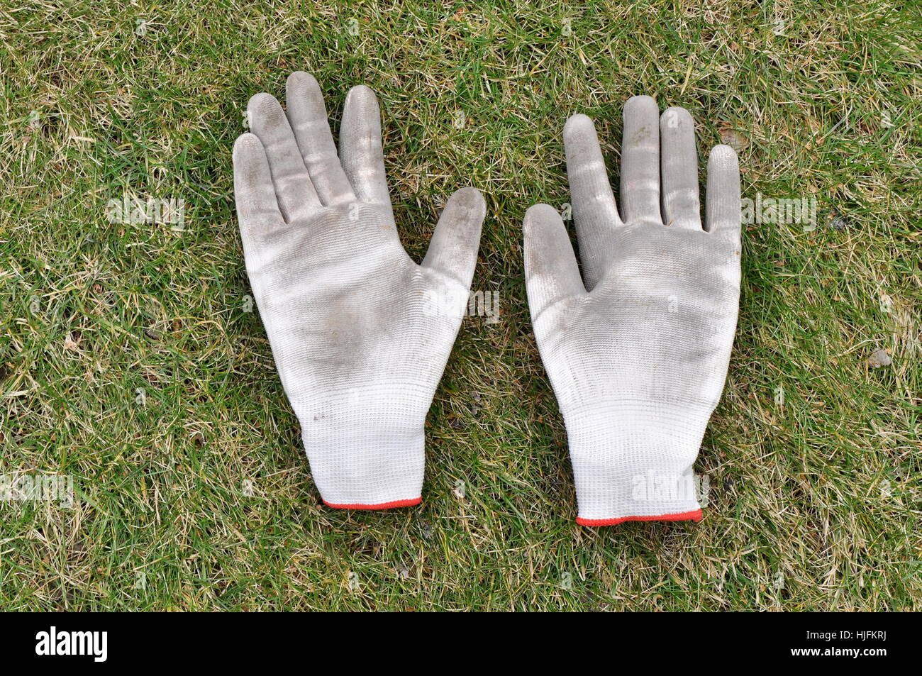 hand, tools, life, exist, existence, living, lives, live, environment ...