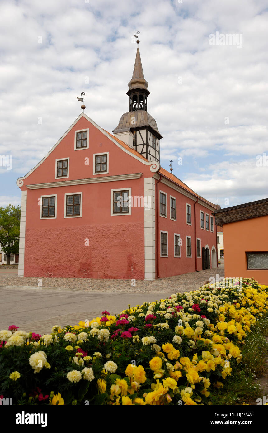 flower, flowers, plant, town hall, latvia, gable, turret, building ...