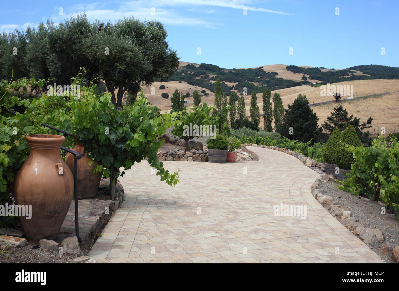 Sonoma county california vineyards hi-res stock photography and images ...