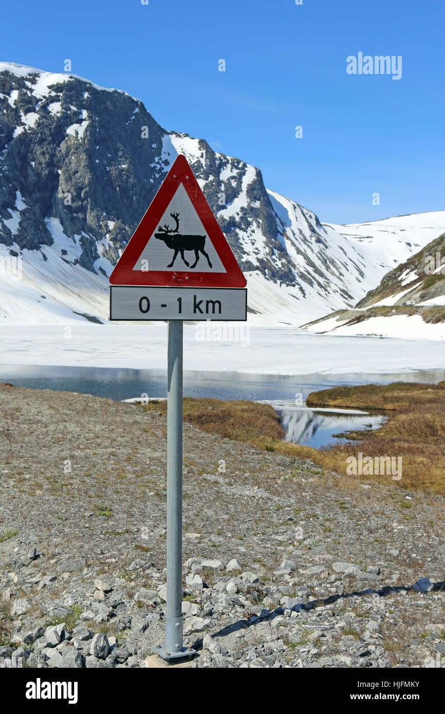 norway, sign, signal, traffic sign, scandinavia, elk, sign, signal ...