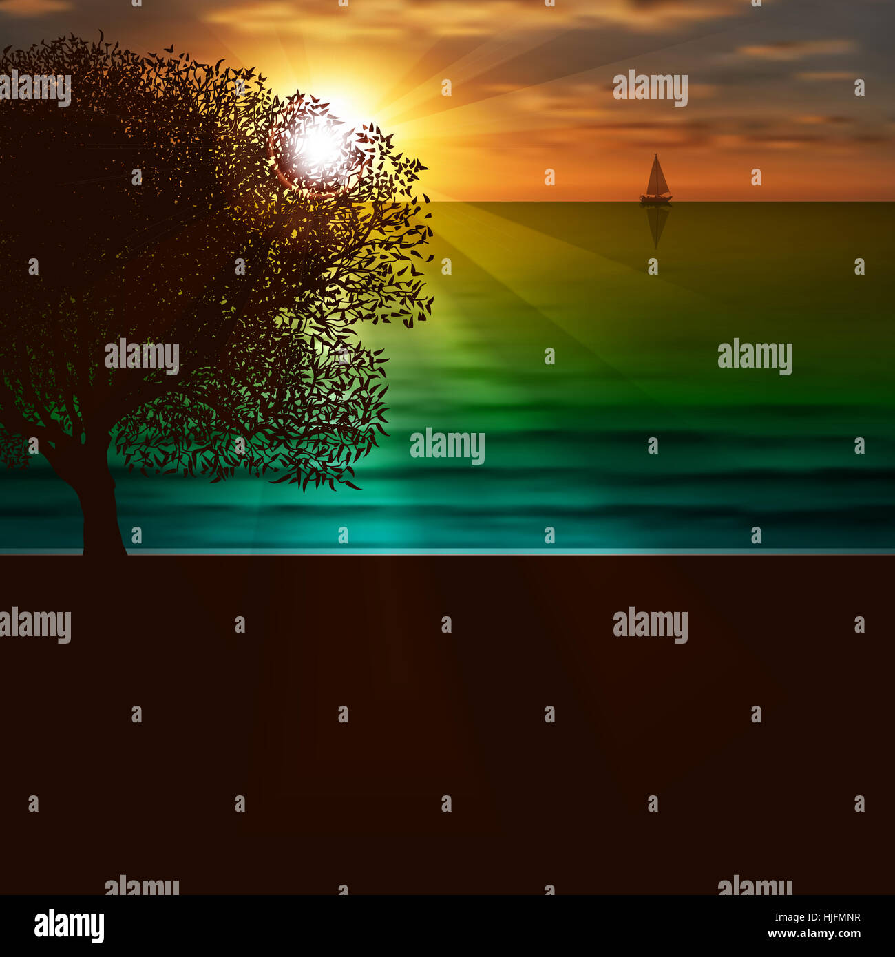 tree, sunset, cloud, sunrise, landscape, scenery, countryside, nature ...