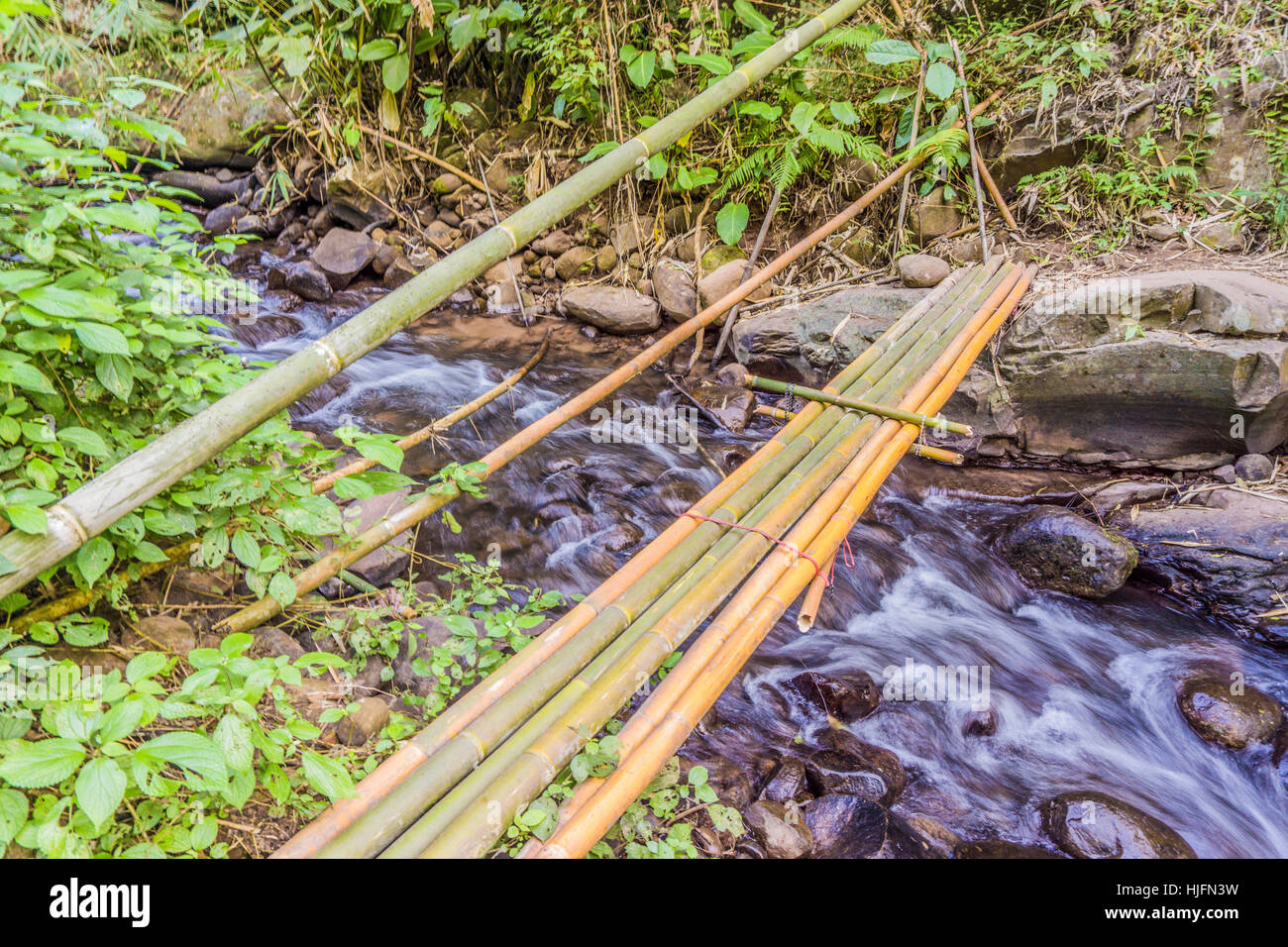 Bamboo bridge over rill in forest Stock Photo - Alamy