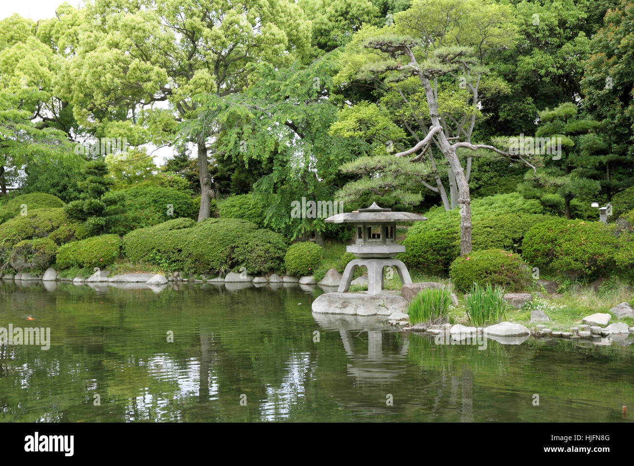 tree, park, garden, japanese, landscape, scenery, countryside, nature ...