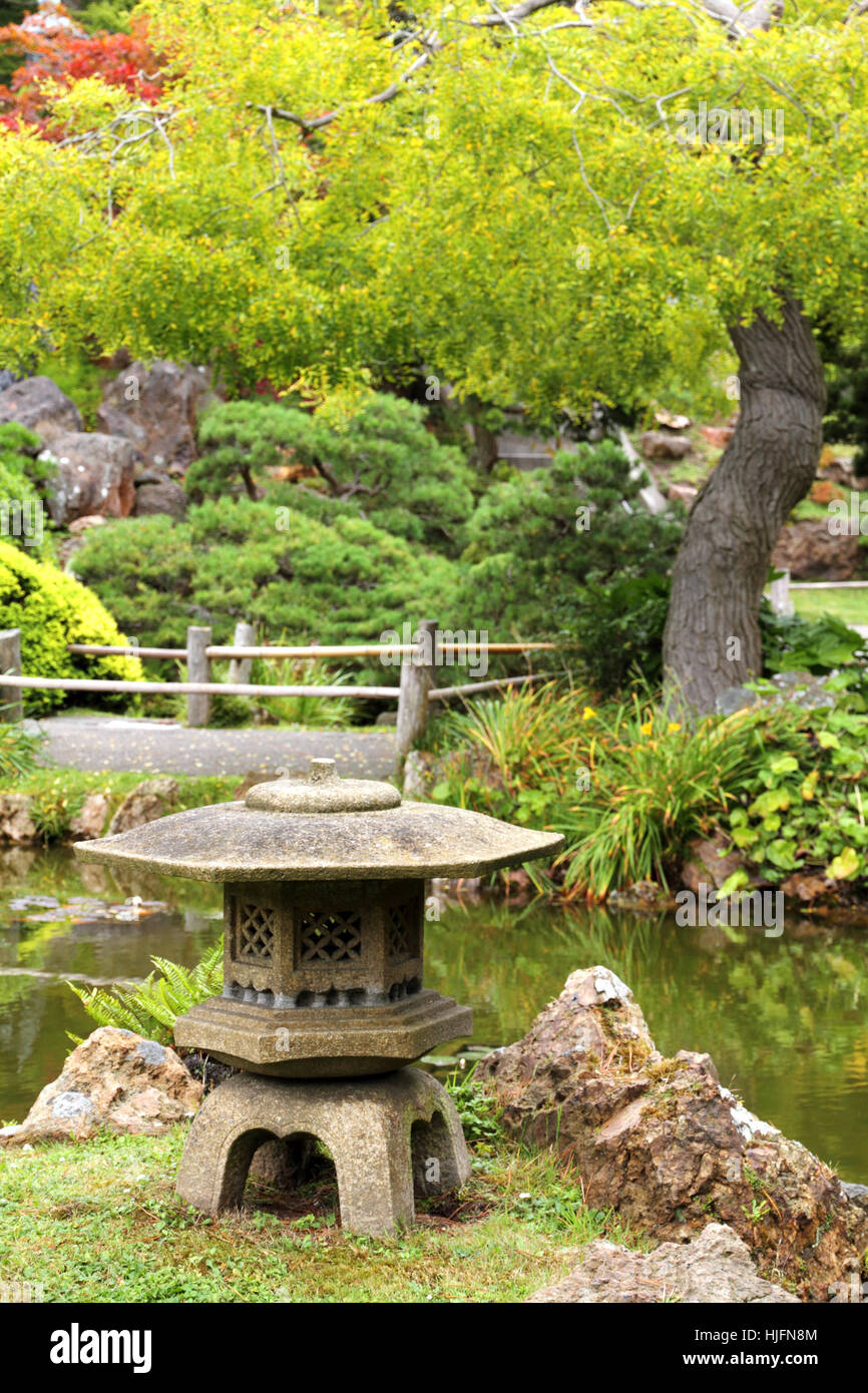 tree, park, garden, fresh water, pond, water, japanese, japan, zen ...