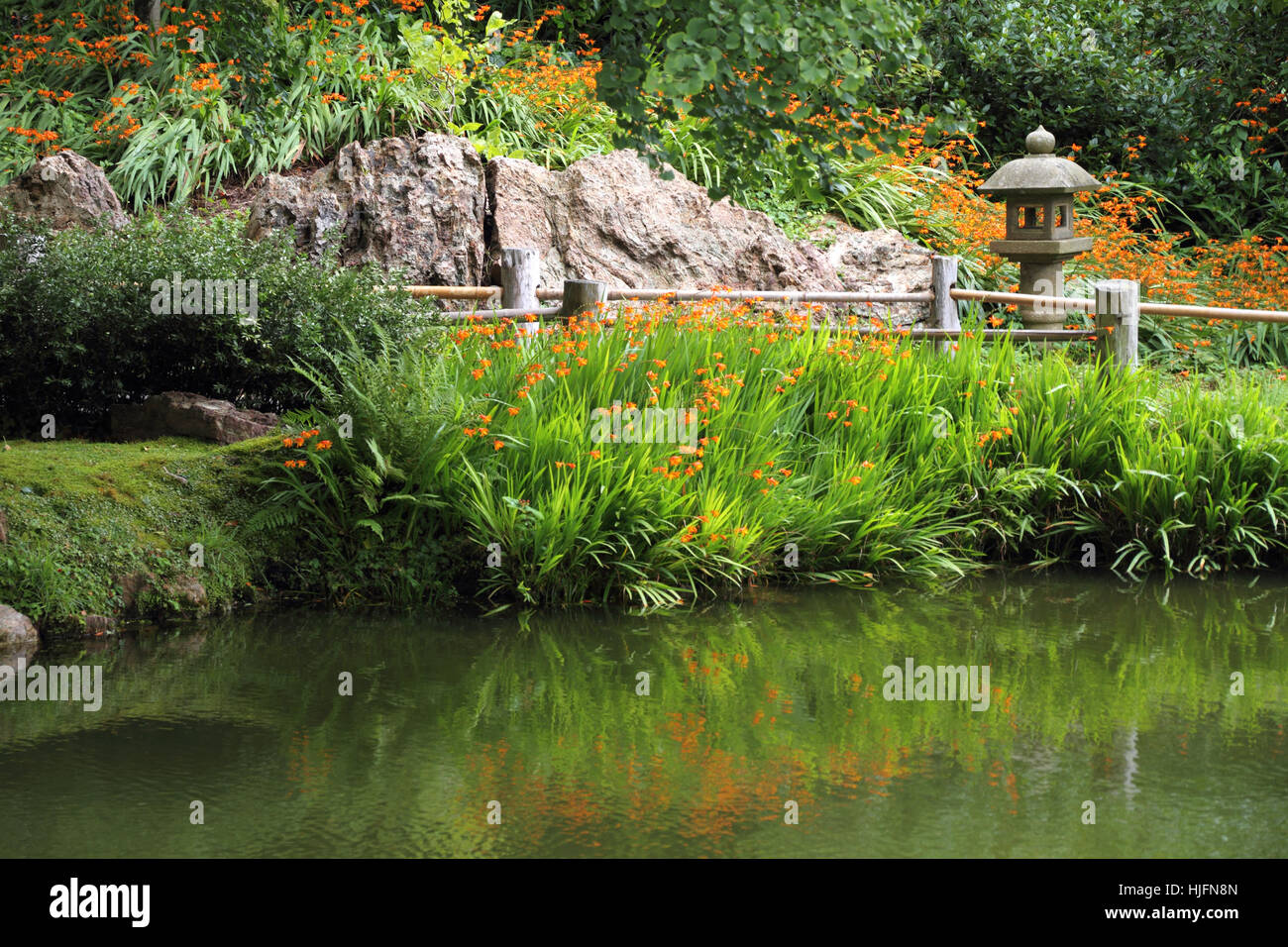 tree, park, garden, japanese, landscape, scenery, countryside, nature ...
