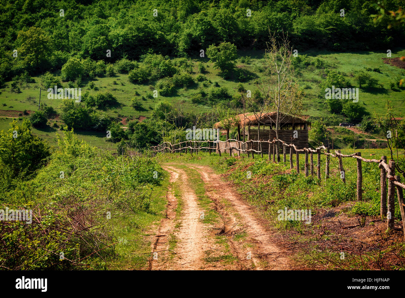 Beautiful forest path wooden fence hi-res stock photography and images ...