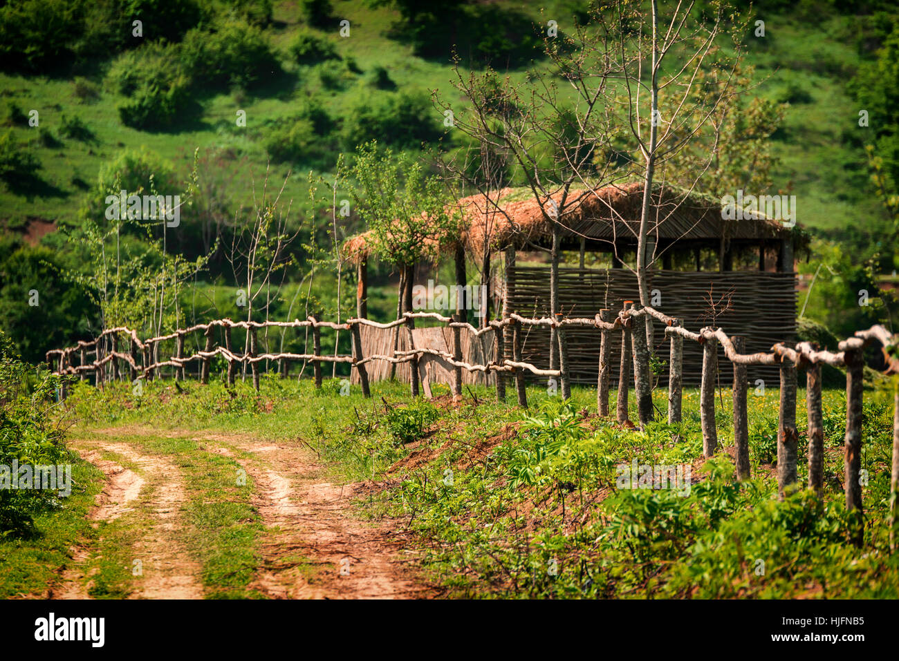 Beautiful forest path wooden fence hi-res stock photography and images ...