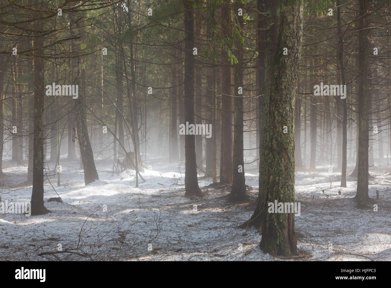 snow, coke, cocaine, material, drug, anaesthetic, addictive drug, fog ...