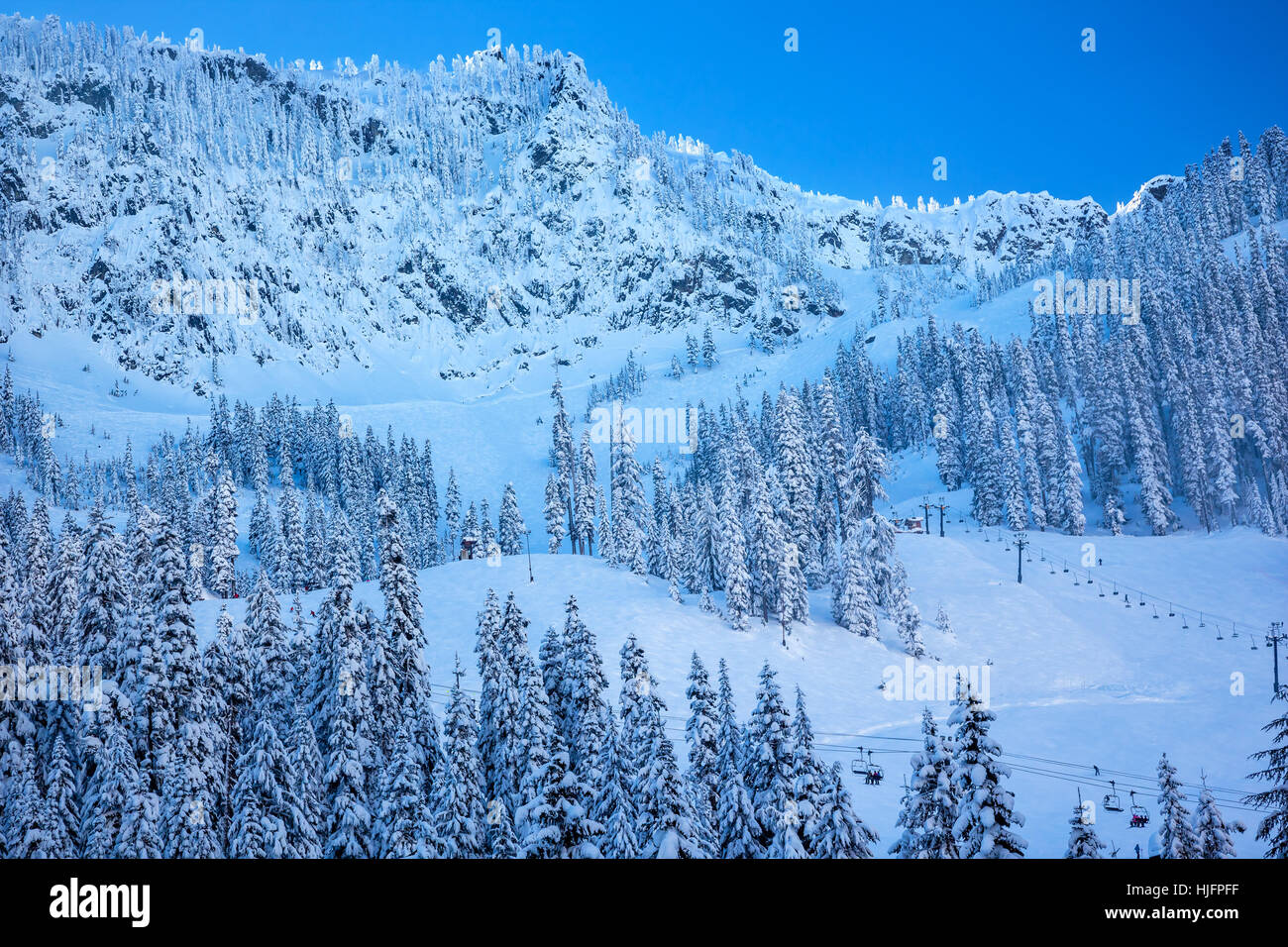 snow, coke, cocaine, material, drug, anaesthetic, addictive drug, usa ...