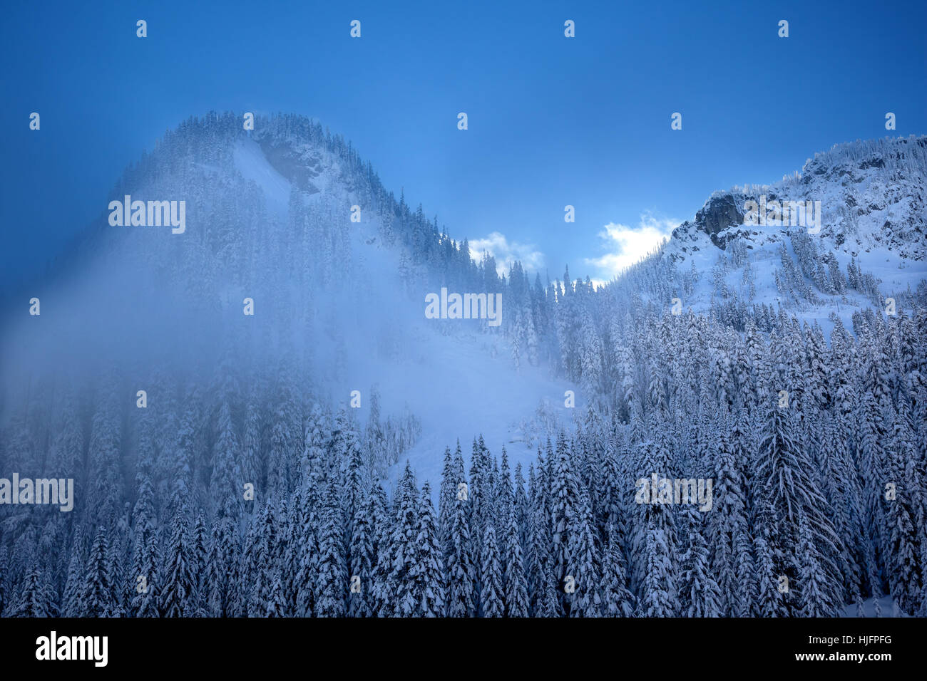 snow, coke, cocaine, material, drug, anaesthetic, addictive drug, usa ...