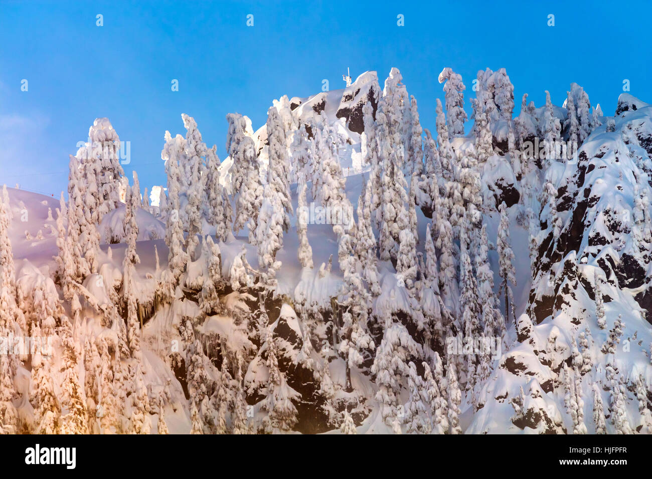 snow, coke, cocaine, material, drug, anaesthetic, addictive drug, usa ...