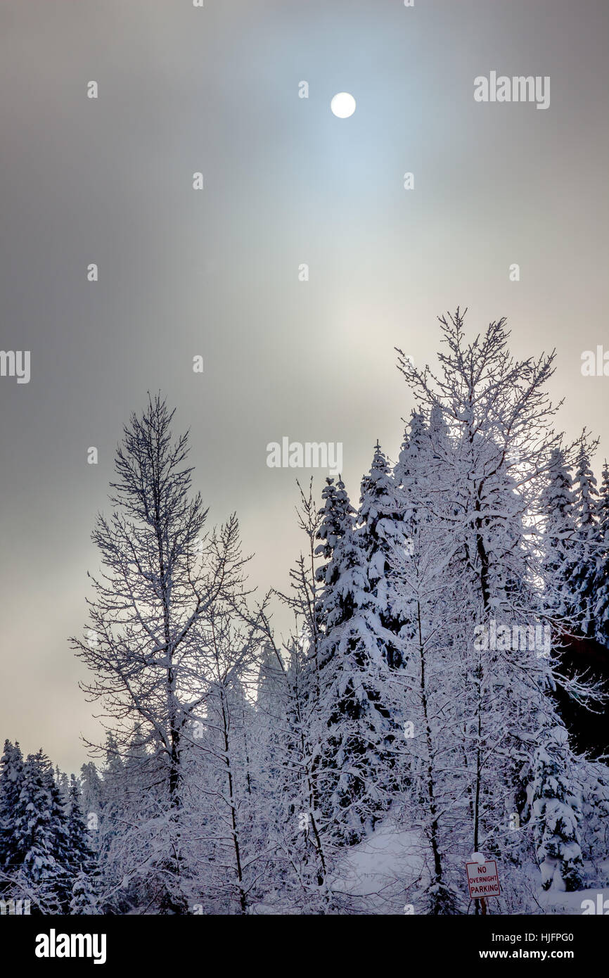 snow, coke, cocaine, material, drug, anaesthetic, addictive drug, usa ...
