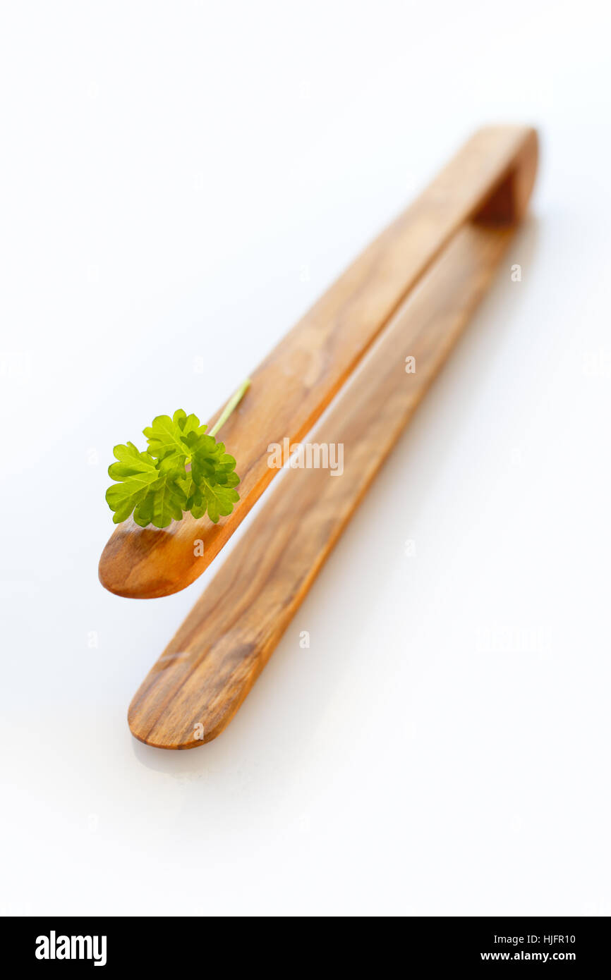 leaf, object, isolated, closeup, summer, summerly, hot, lie, lying ...