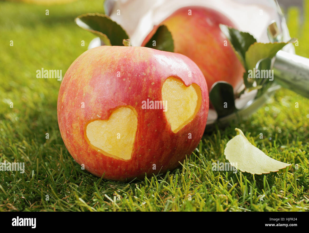 food, aliment, closeup, agriculture, farming, skin, harvest, fruit ...