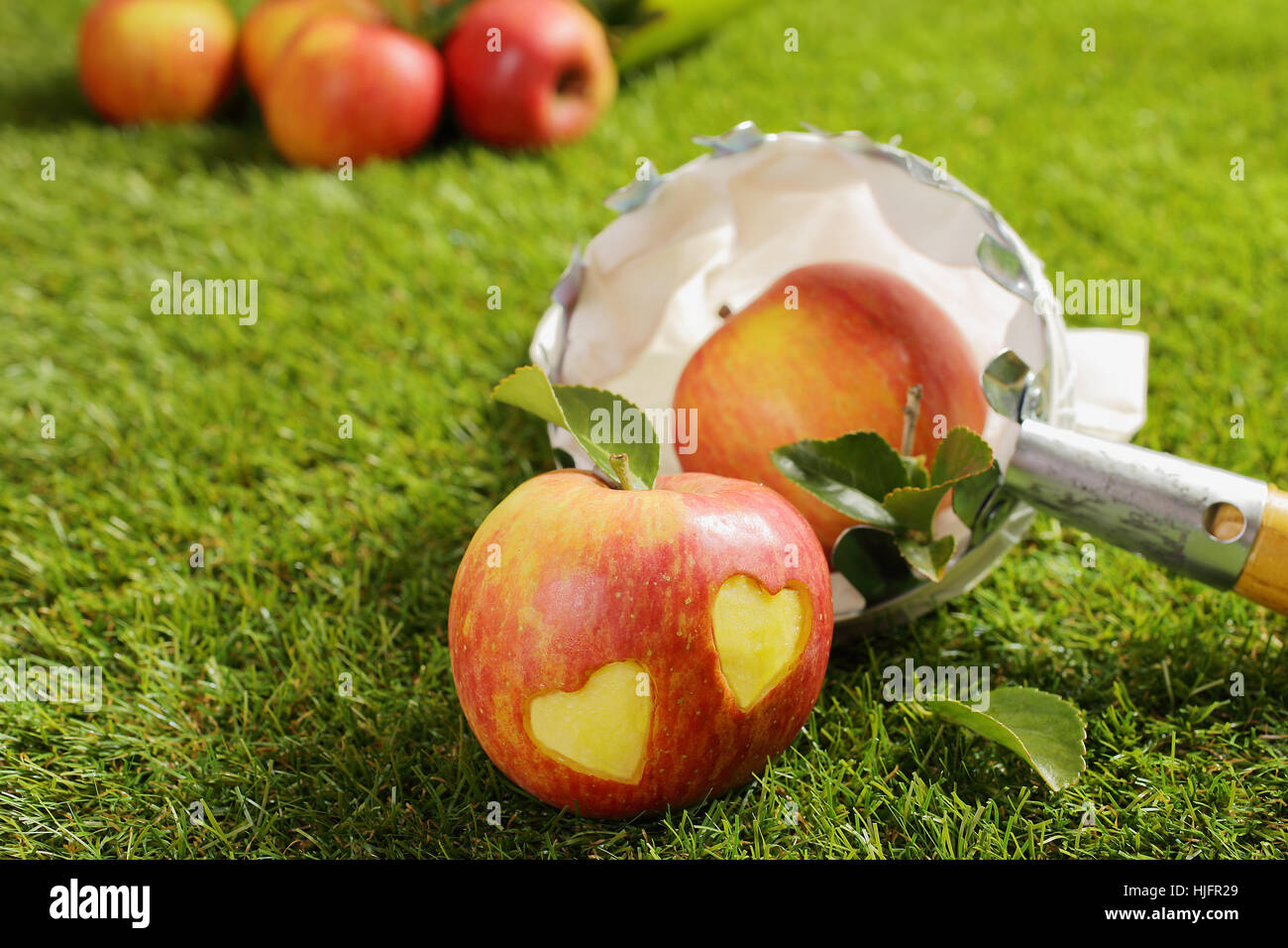 food, aliment, agriculture, farming, skin, harvest, fruit, shape ...