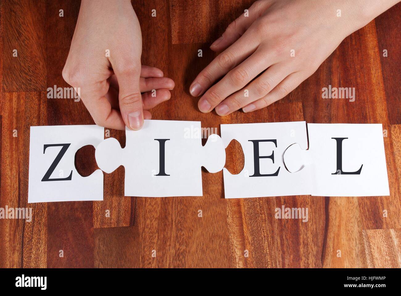 hand, hands, aim, goal, jigsaw, puzzle, jigsaw puzzle, solution, woman ...