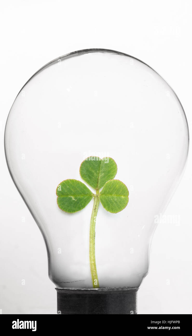Shamrock inside light bulb against white background Stock Photo - Alamy