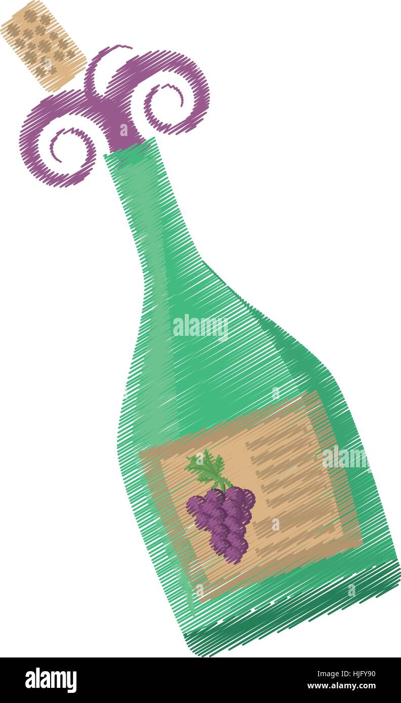 drawing green wine bottle cork harvesting grape vector illustration eps ...